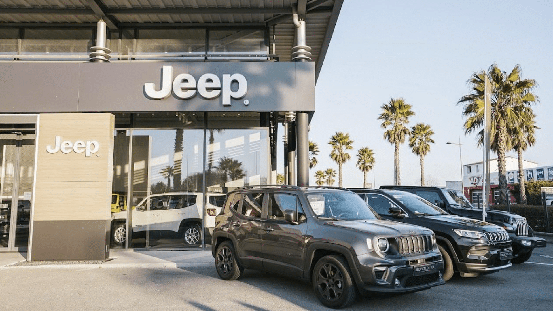 Tout comprendre à la marque Jeep : origine, Jeep Willys, modèles à ...